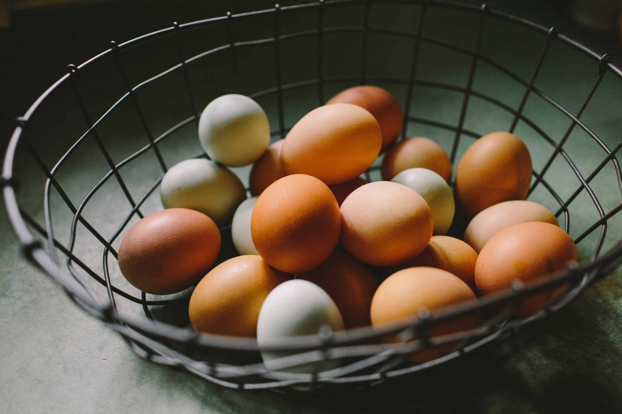 Origin and History of the Chicken – Livestock
