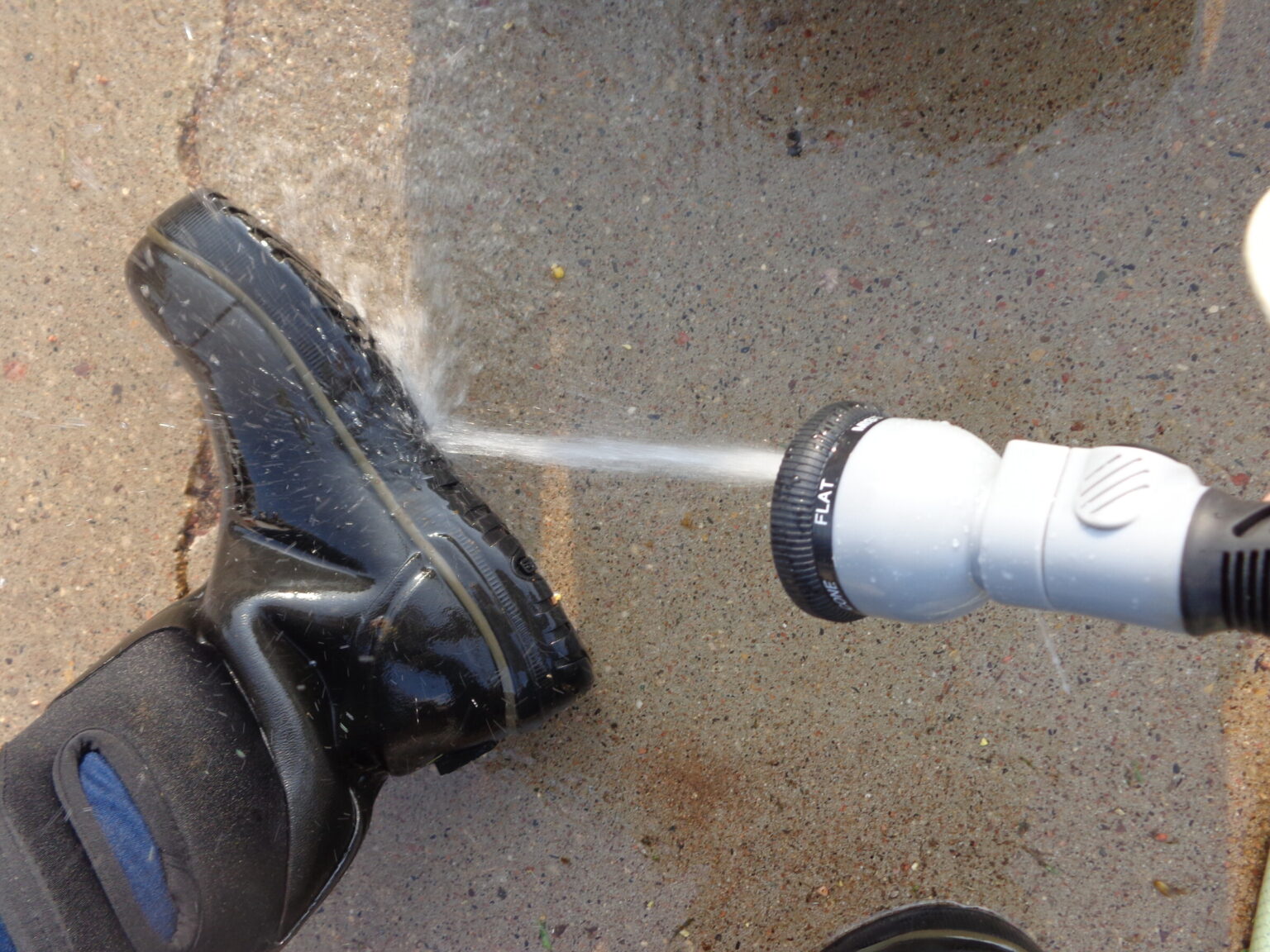 Step into biosecurity with clean and disinfected boots – Livestock