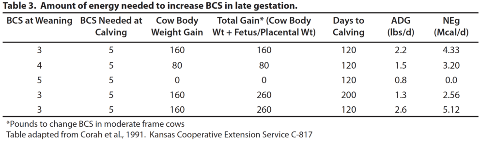 Hay Analysis Guide for Beef Cattle: Determining Winter Feed Needs ...