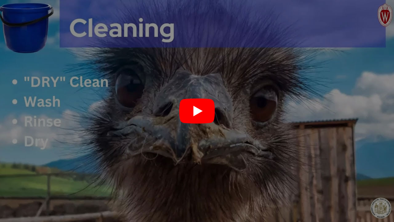 Watch: Basic Biosecurity Practices For Livestock Operations – Livestock
