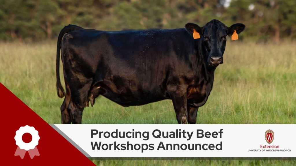 Producing Quality Beef Workshops Announced – Livestock
