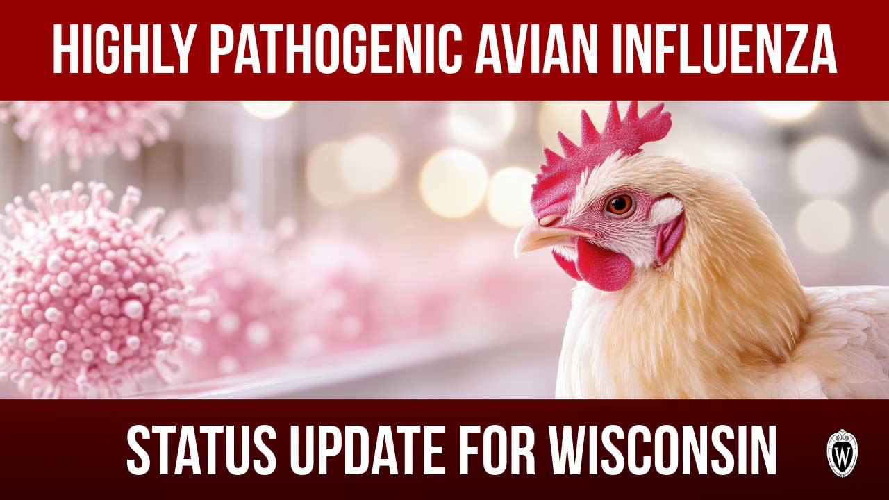 Avian Influenza in Wisconsin – Livestock