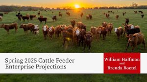 Finances & Budgets – Livestock