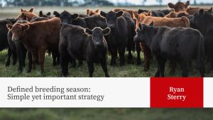 Defined breeding season: Simple yet important strategy – Livestock